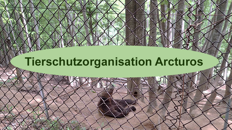 Die Wildtiergehege der Tierschutzorganisation Arcturos - Hellas Blog